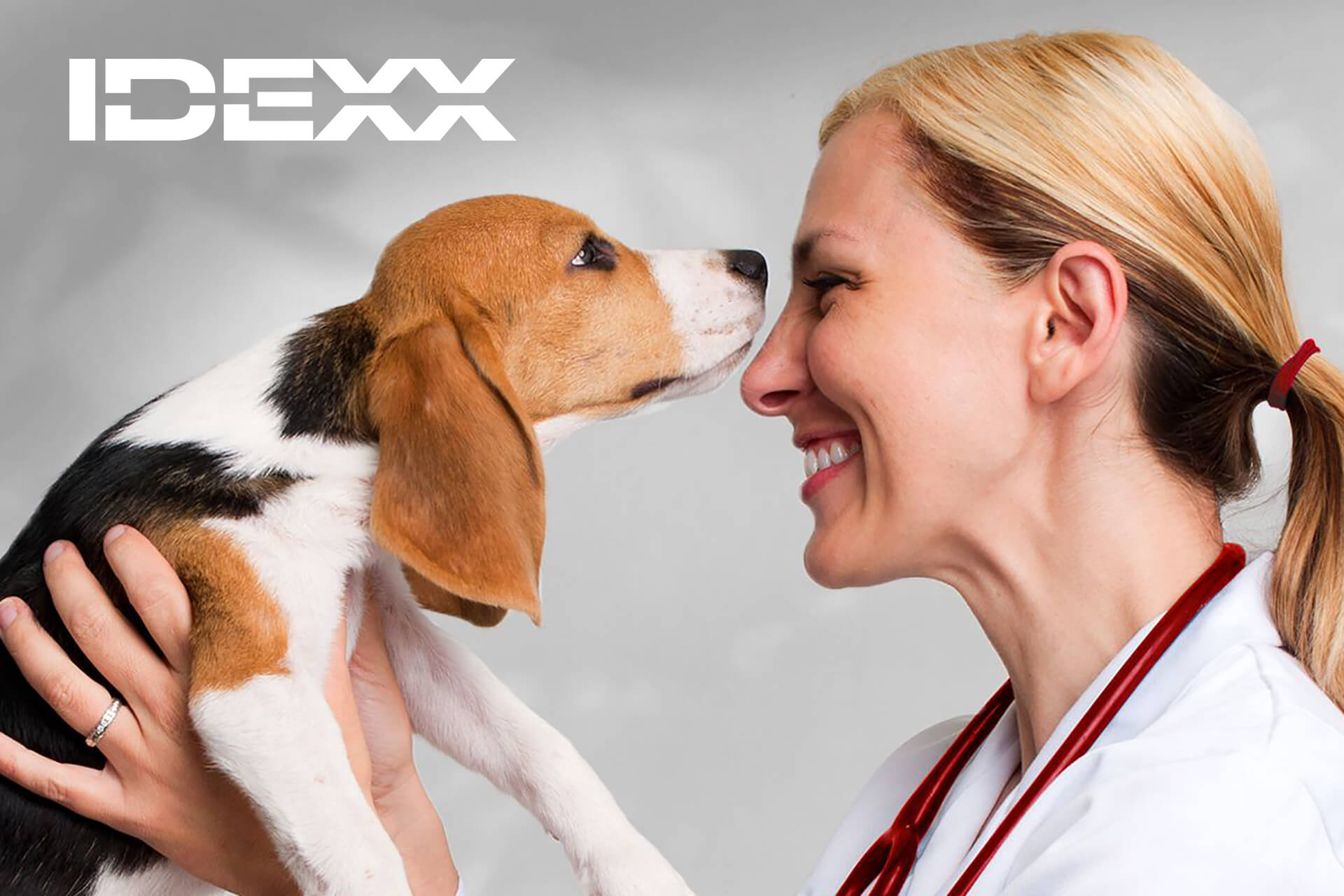 Website design for IDEXX | Sparks and Fuel