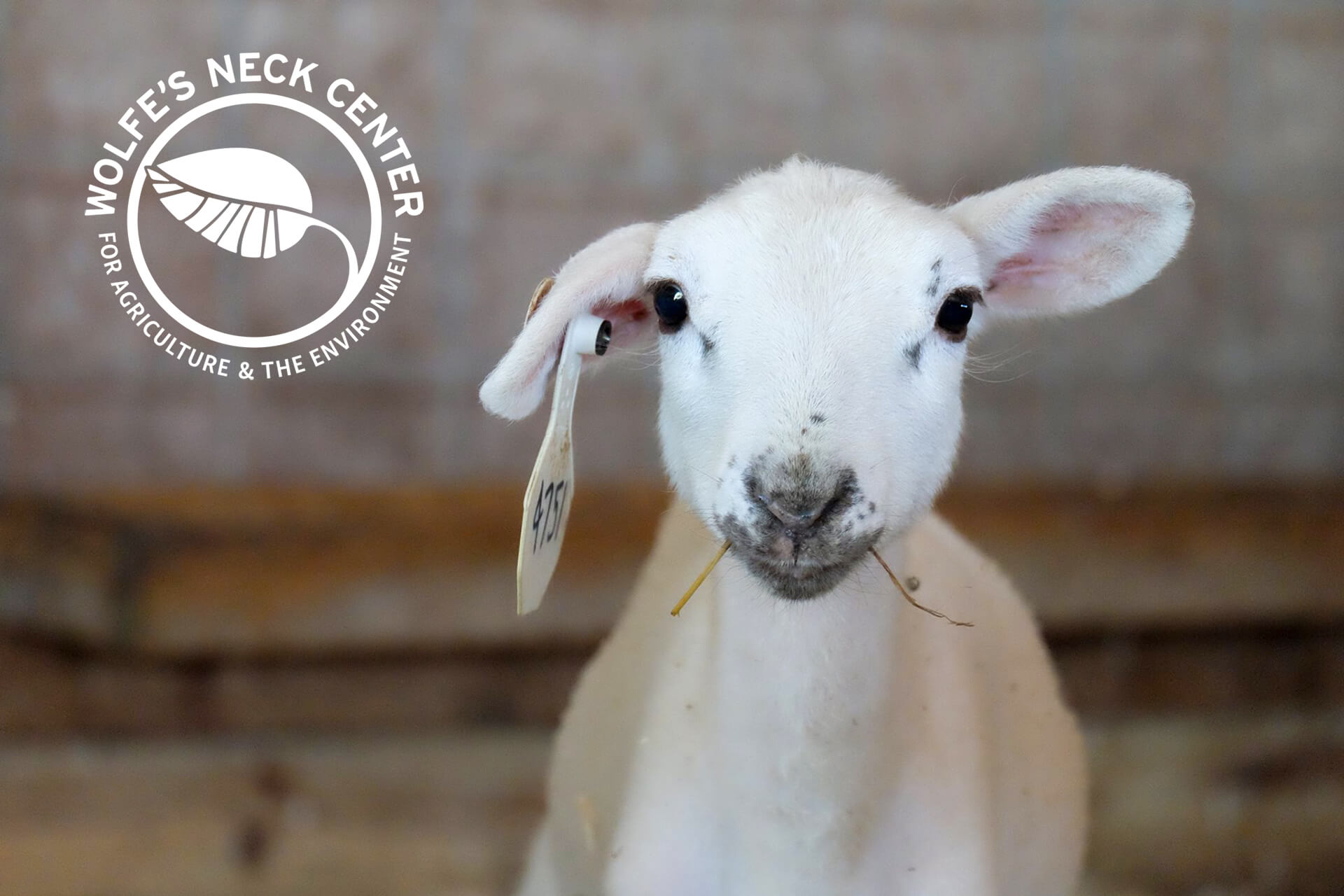 Wolfe’s Neck Center | Sparks and Fuel